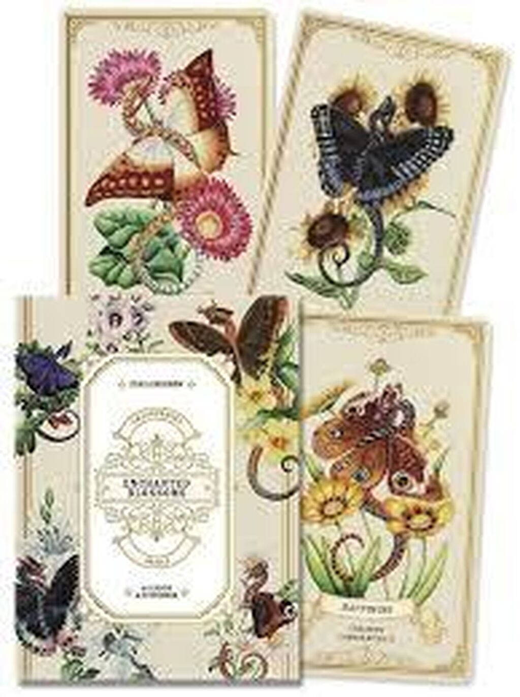 Oracle Cards Enchanted Blossoms Oracle | Buy Online in Ireland ...